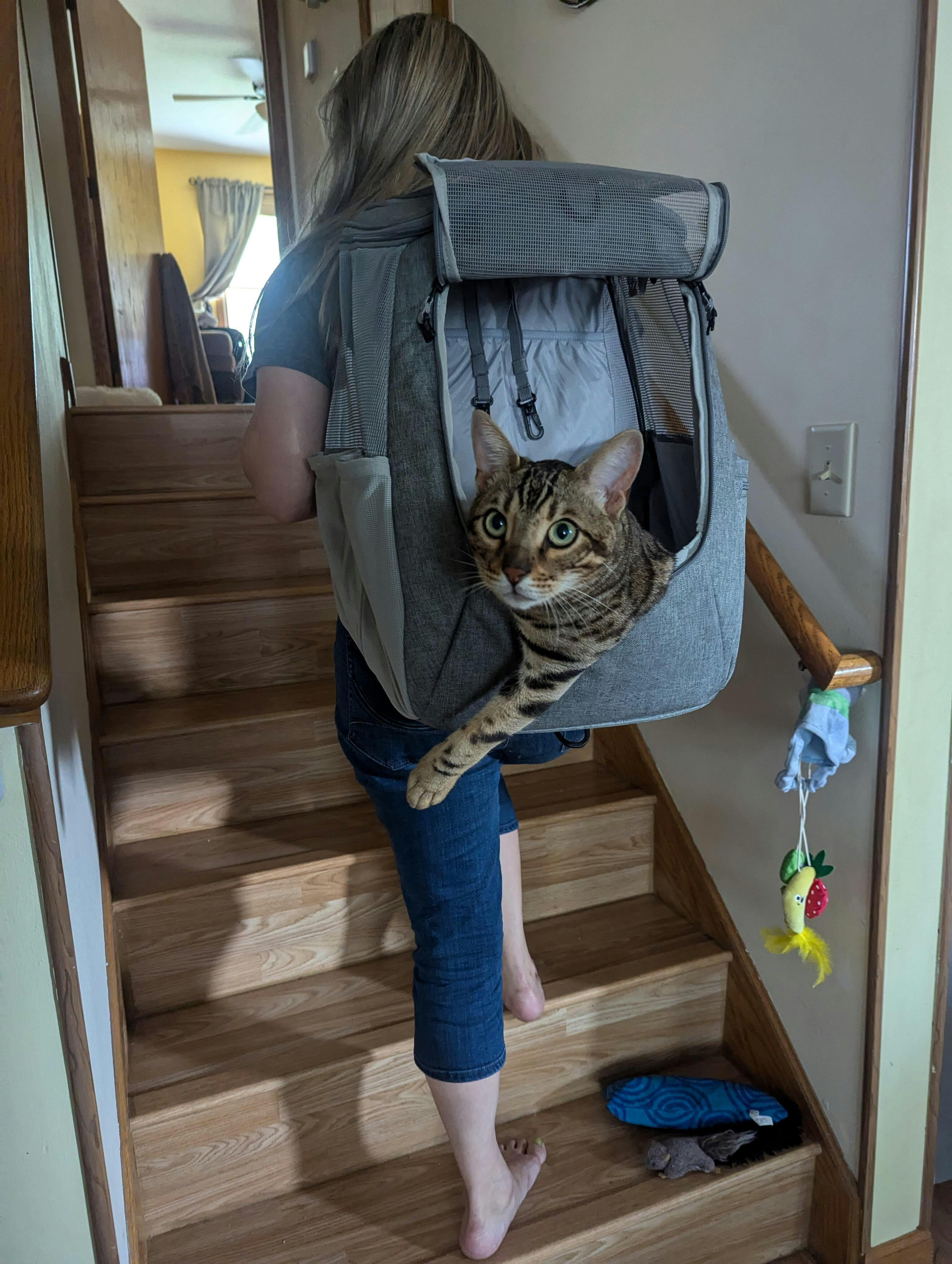 "The Navigator" Convertible Cat Backpack - For Adventurous Cats and Hu