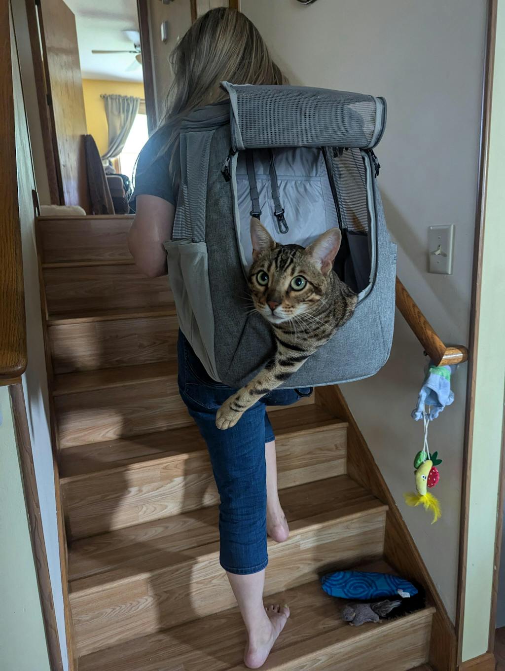 "The Navigator" Convertible Cat Backpack - For Adventurous Cats and Hu
