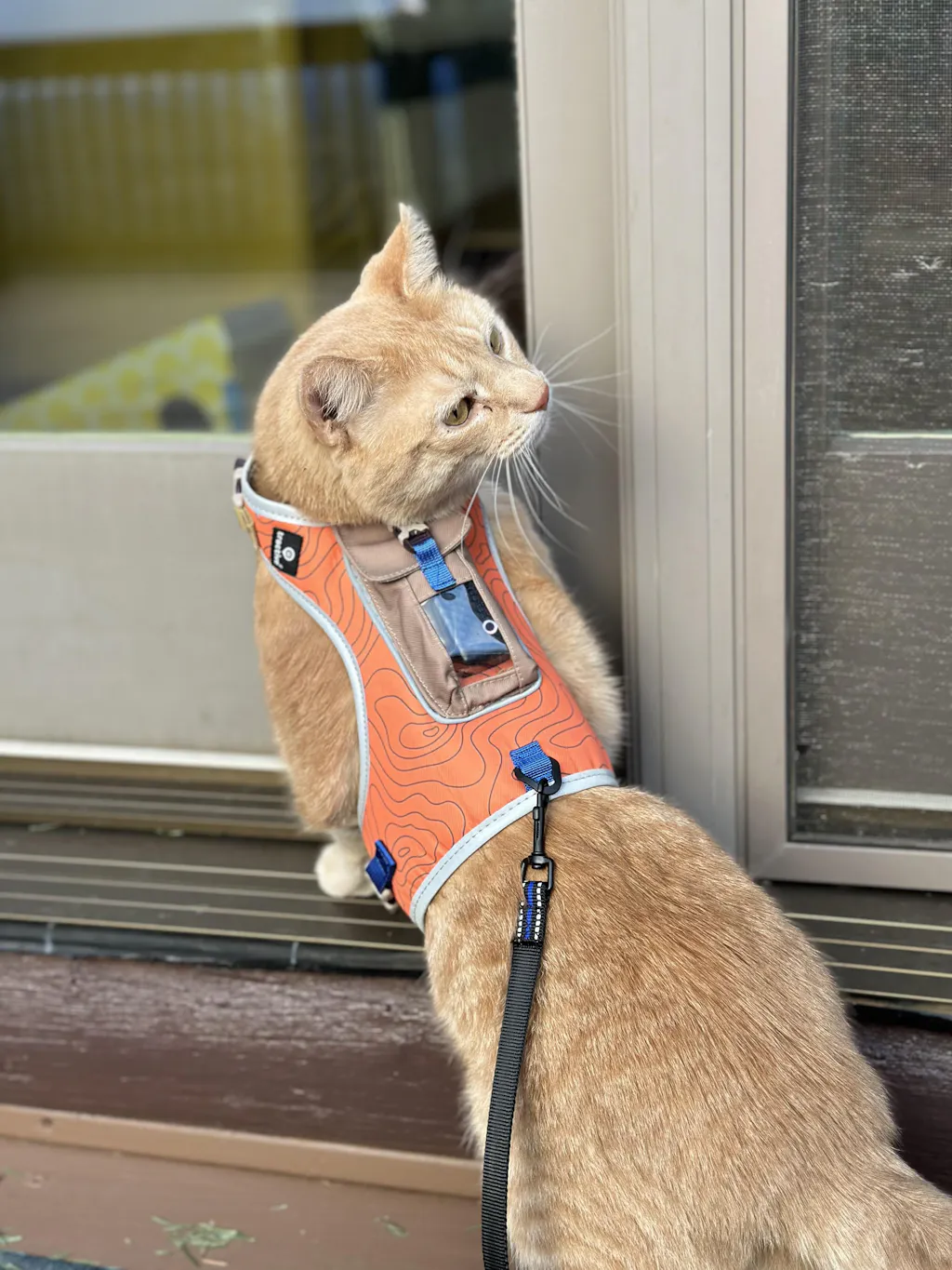 "The Pathfinder" Cat Harness with GPS Tracker Pocket - Powered by Trac
