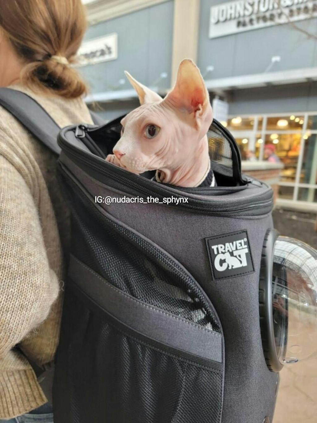 "The Fat Cat" Cat Backpack - For Larger Cats - Bubble Cat Carrier