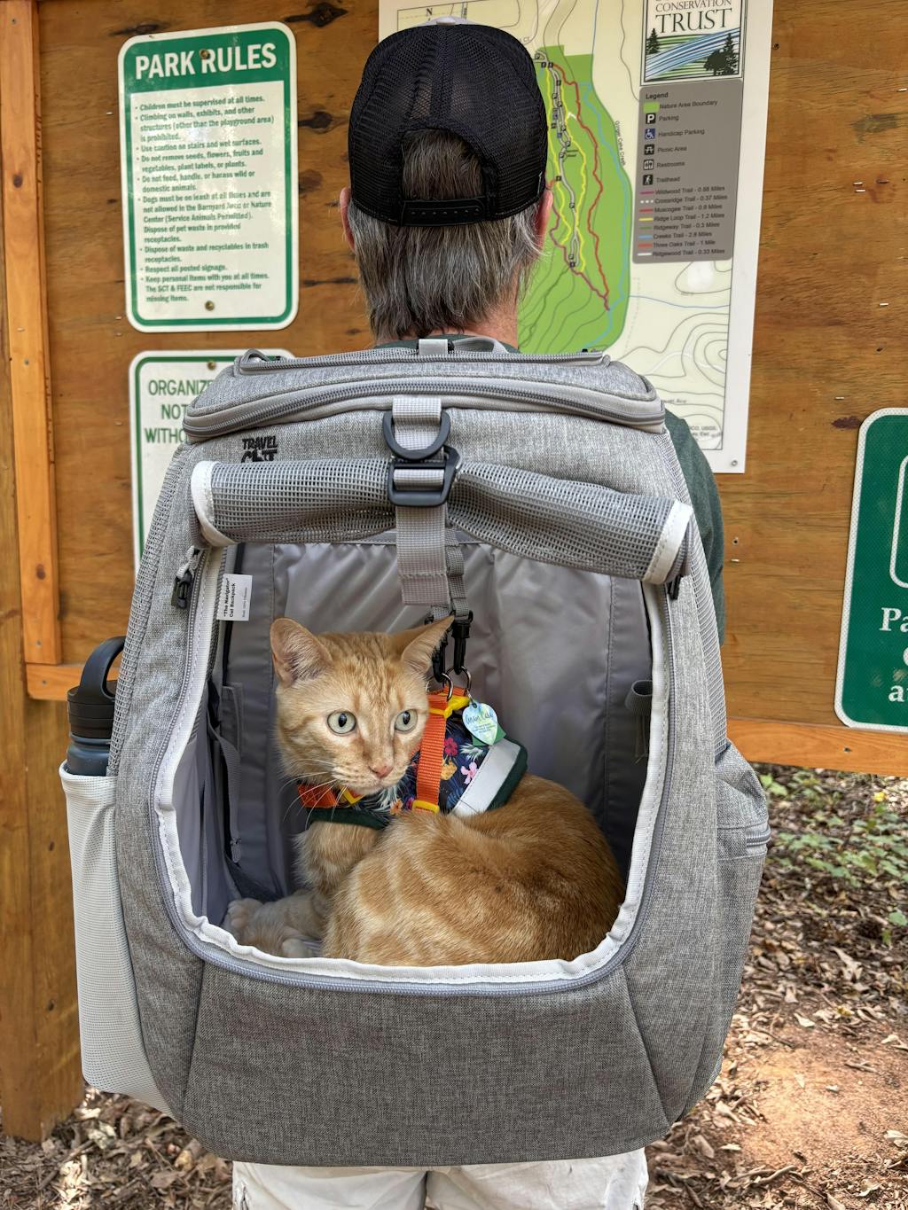 "The Navigator" Earth Convertible Cat Backpack - For Adventurous Cats