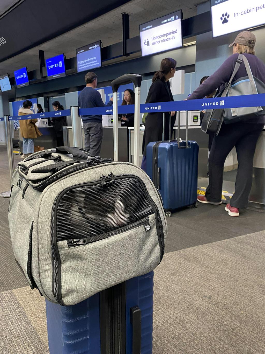 "The Transpurrter" Ultimate Calming Convertible Cat Carrier in Heather