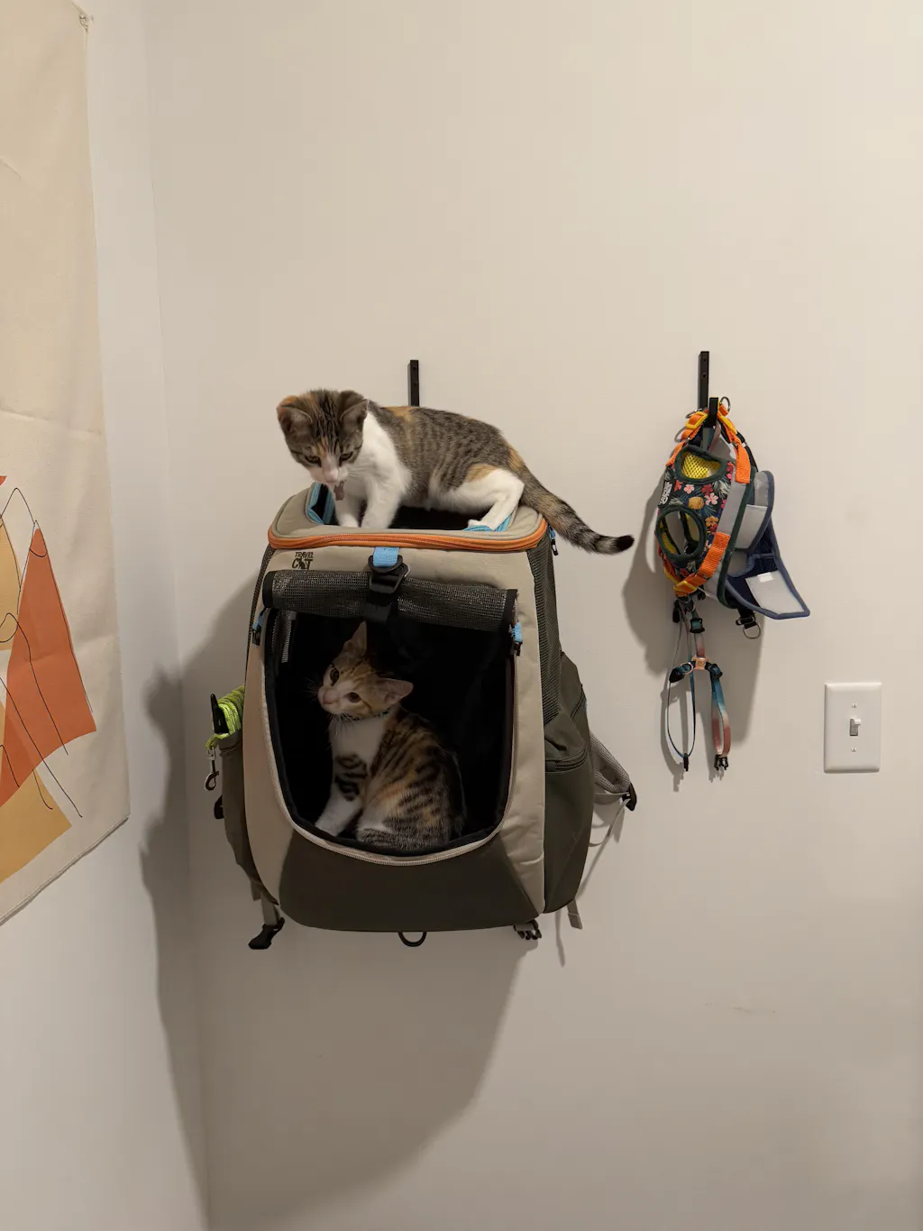 "The Navigator" Convertible Cat Backpack in Heather Grey - For Adventu