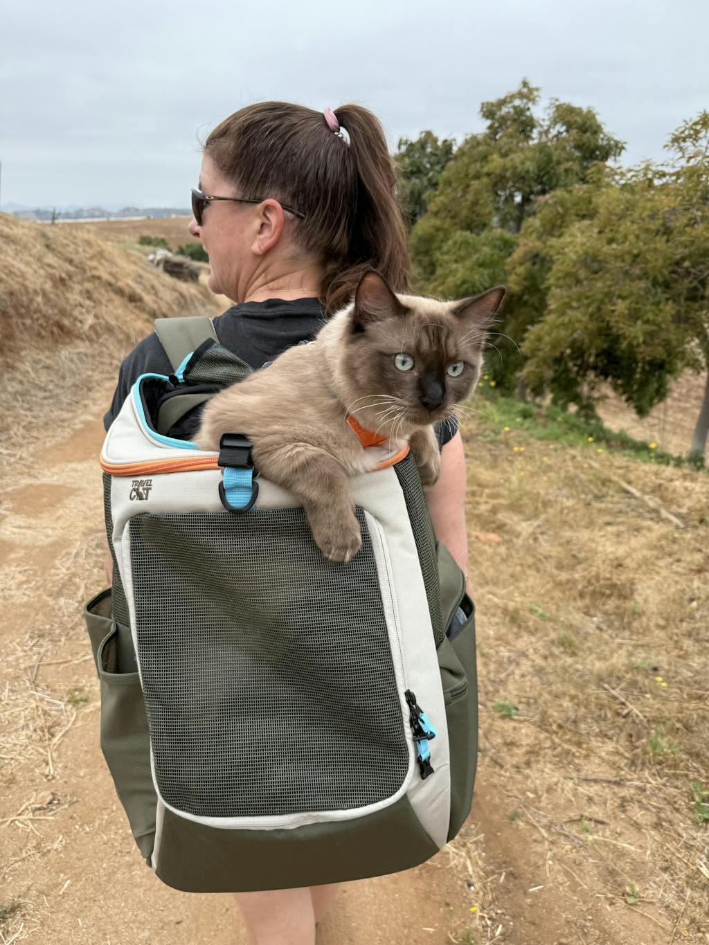 "The Navigator Earth" Convertible Cat Backpack - For Adventurous Cats