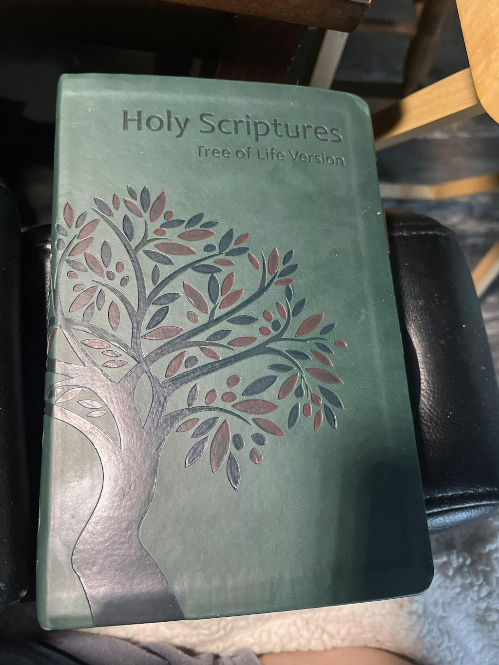 TLV Holy Scriptures: Thinline Edition (Leatherette) – Tree of Life ...