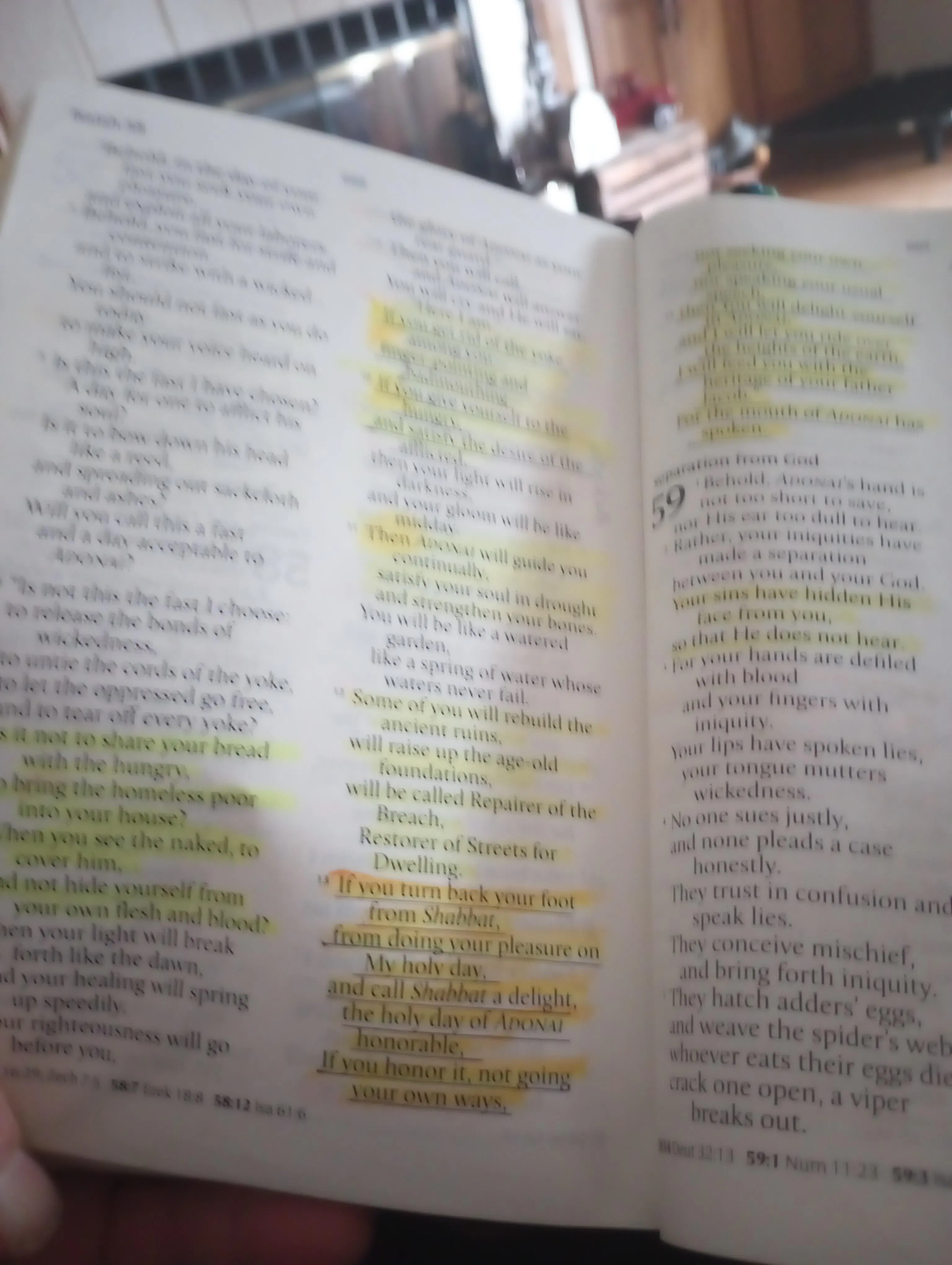 Tree of Life Bible: GIANT Print Edition – Tree of Life Bible Society