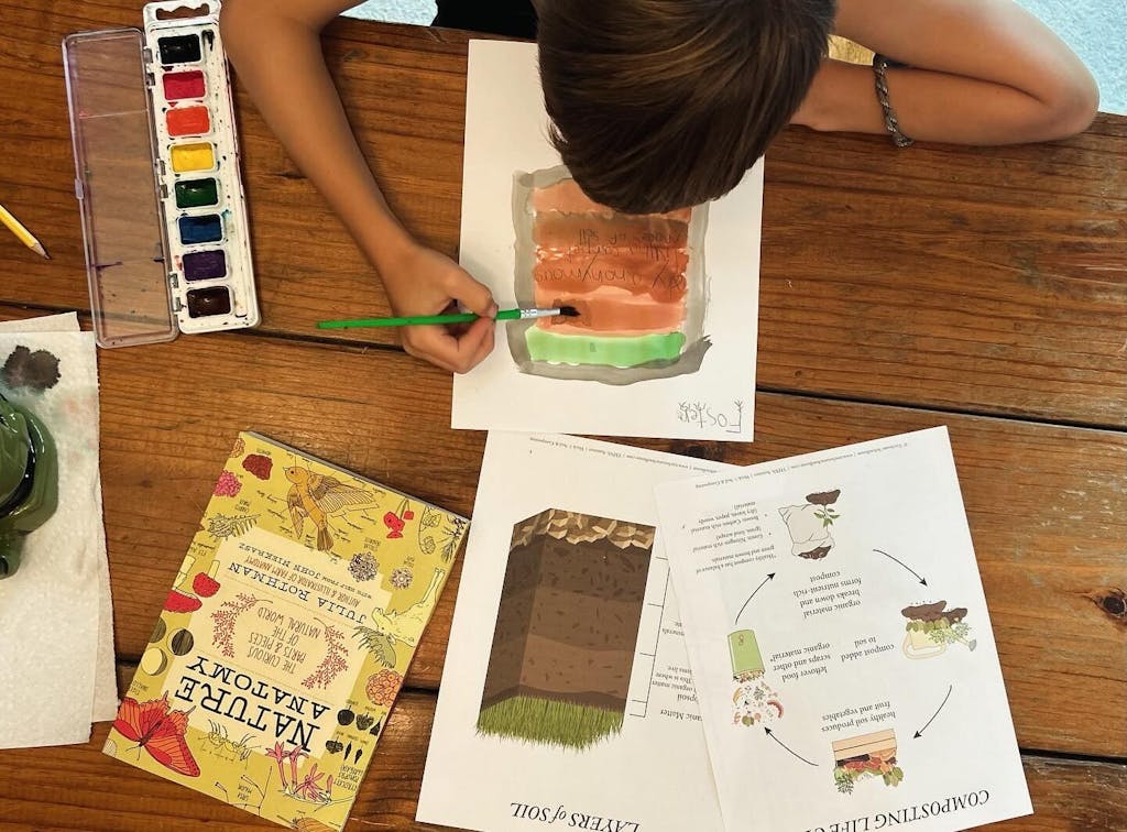 Treehouse Nature Study: Summer, Primary Years – Treehouse Schoolhouse