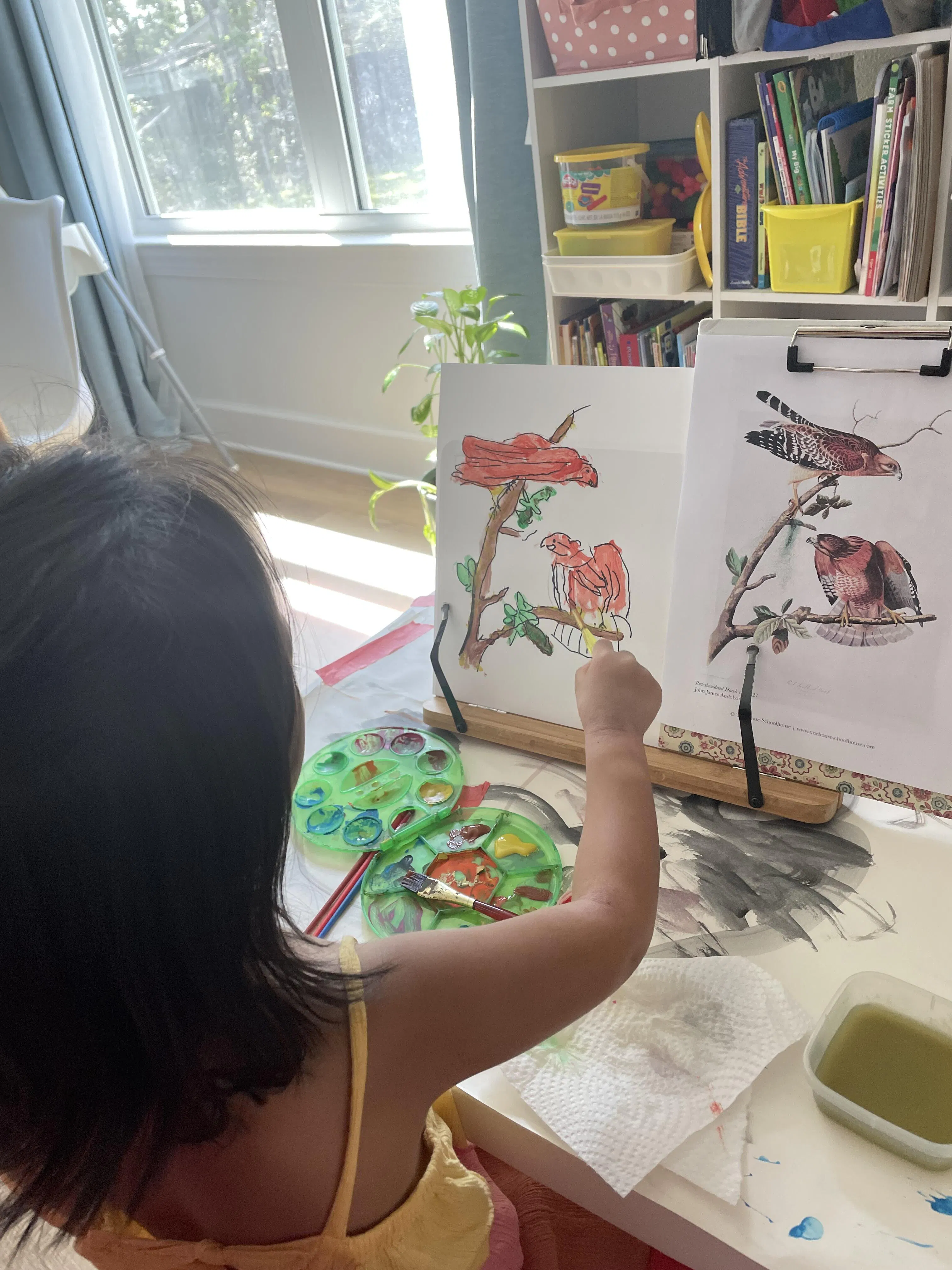 Treehouse Nature Study: Autumn, Primary Years – Treehouse Schoolhouse