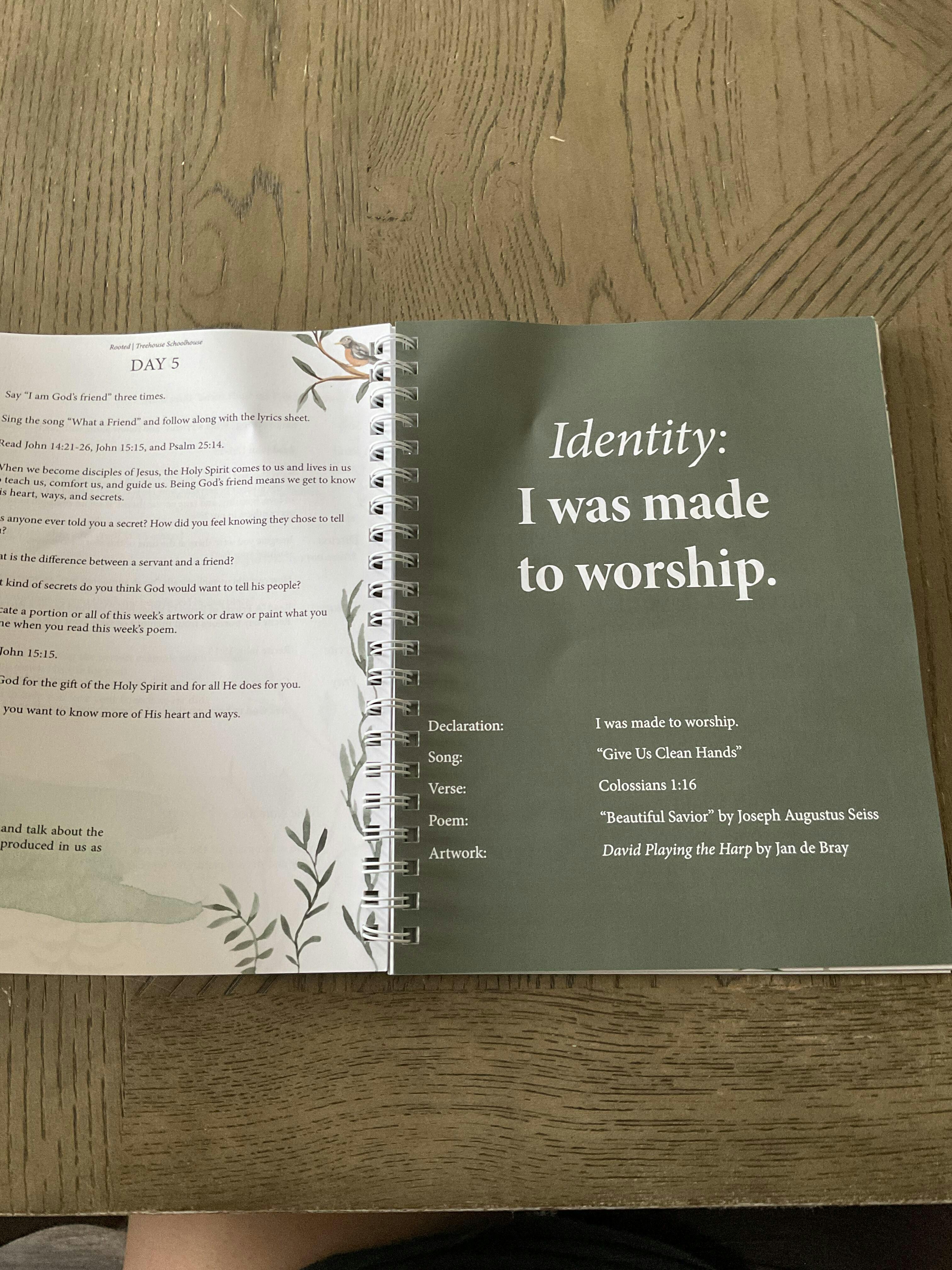 Rooted Family Bible Curriculum, Volume One – Treehouse Schoolhouse