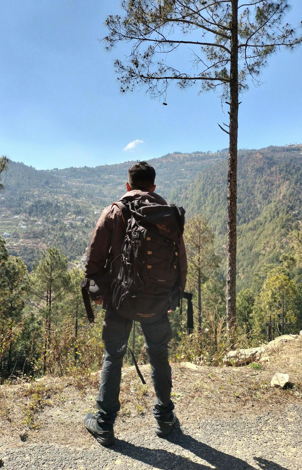 Tripole Walker Pro Metal Frame Rucksack with Rain Cover for Trekking ...