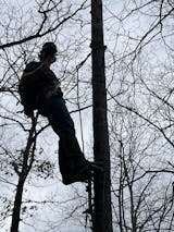 The Wingman Platform - Trophyline