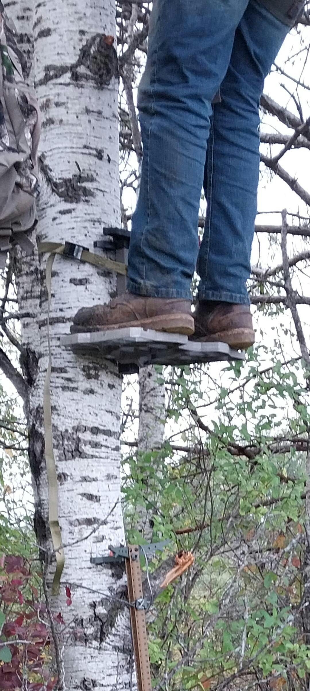 Trophyline The Mission Platform