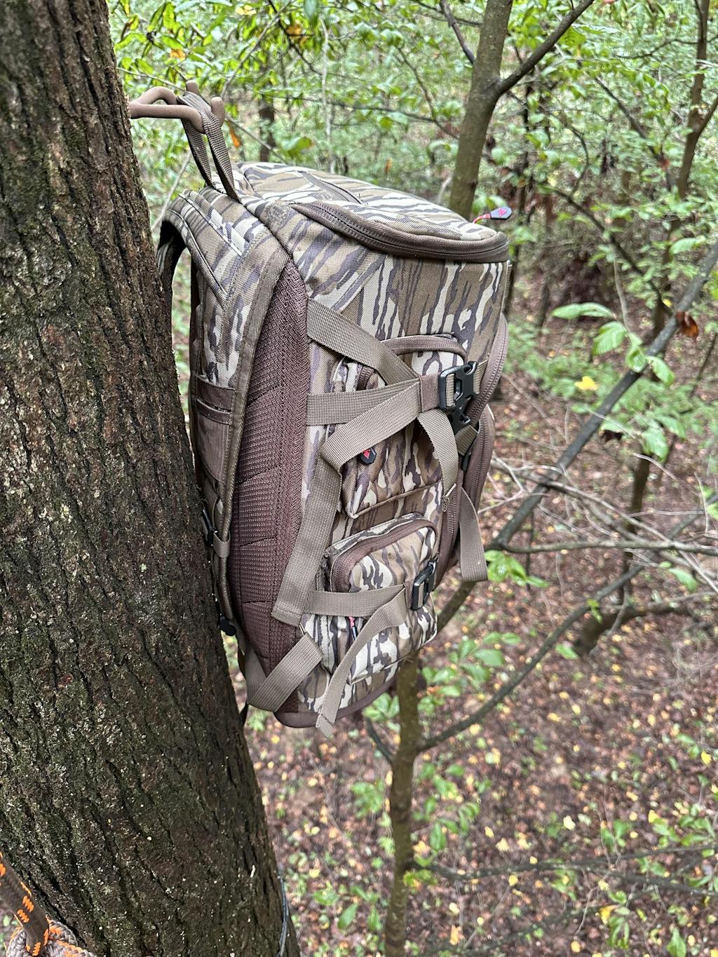 TrophylineⓇ - Tree SaddlesⓇ and Saddle Kits