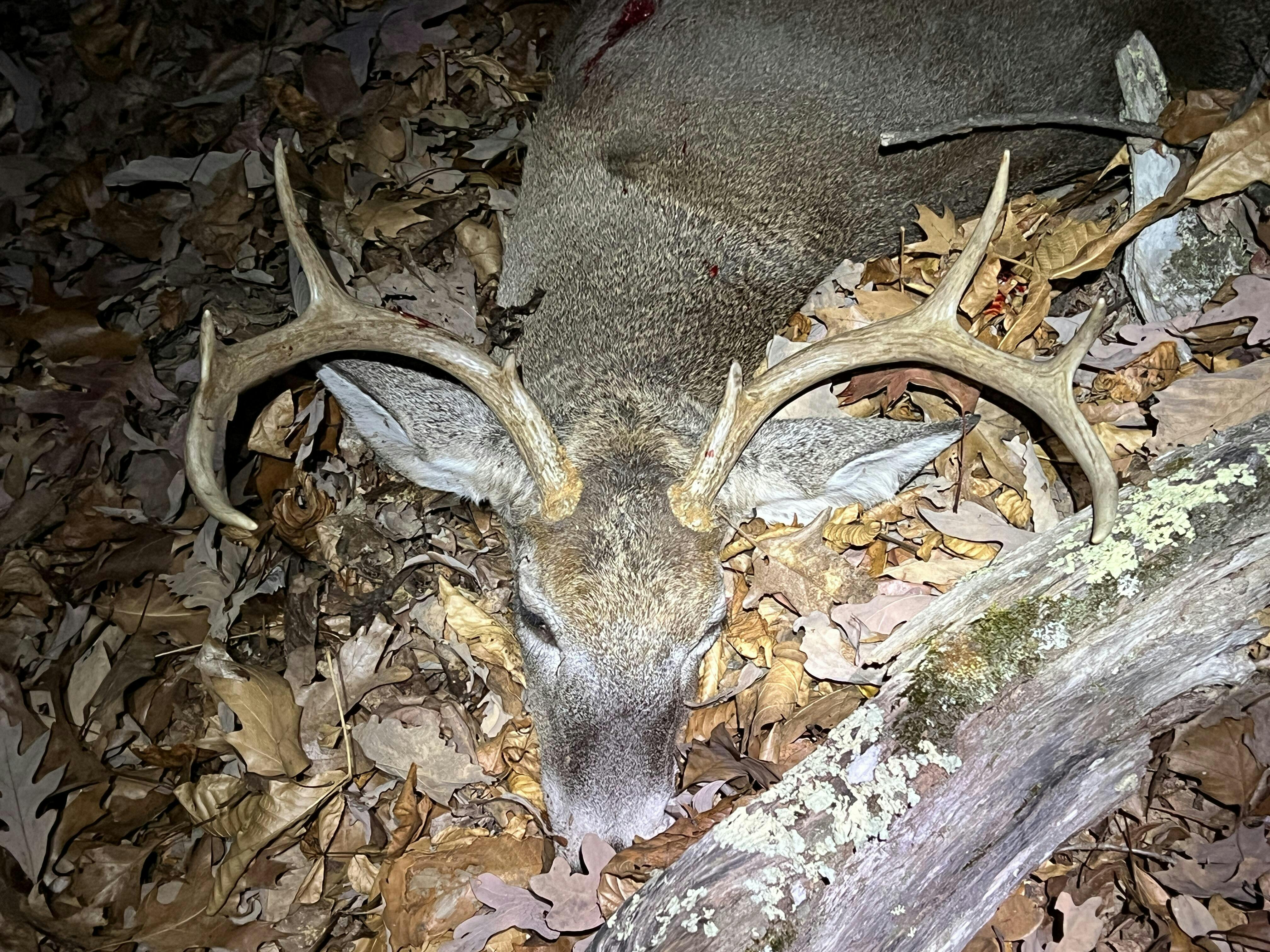 Trophyline The EDP Platform