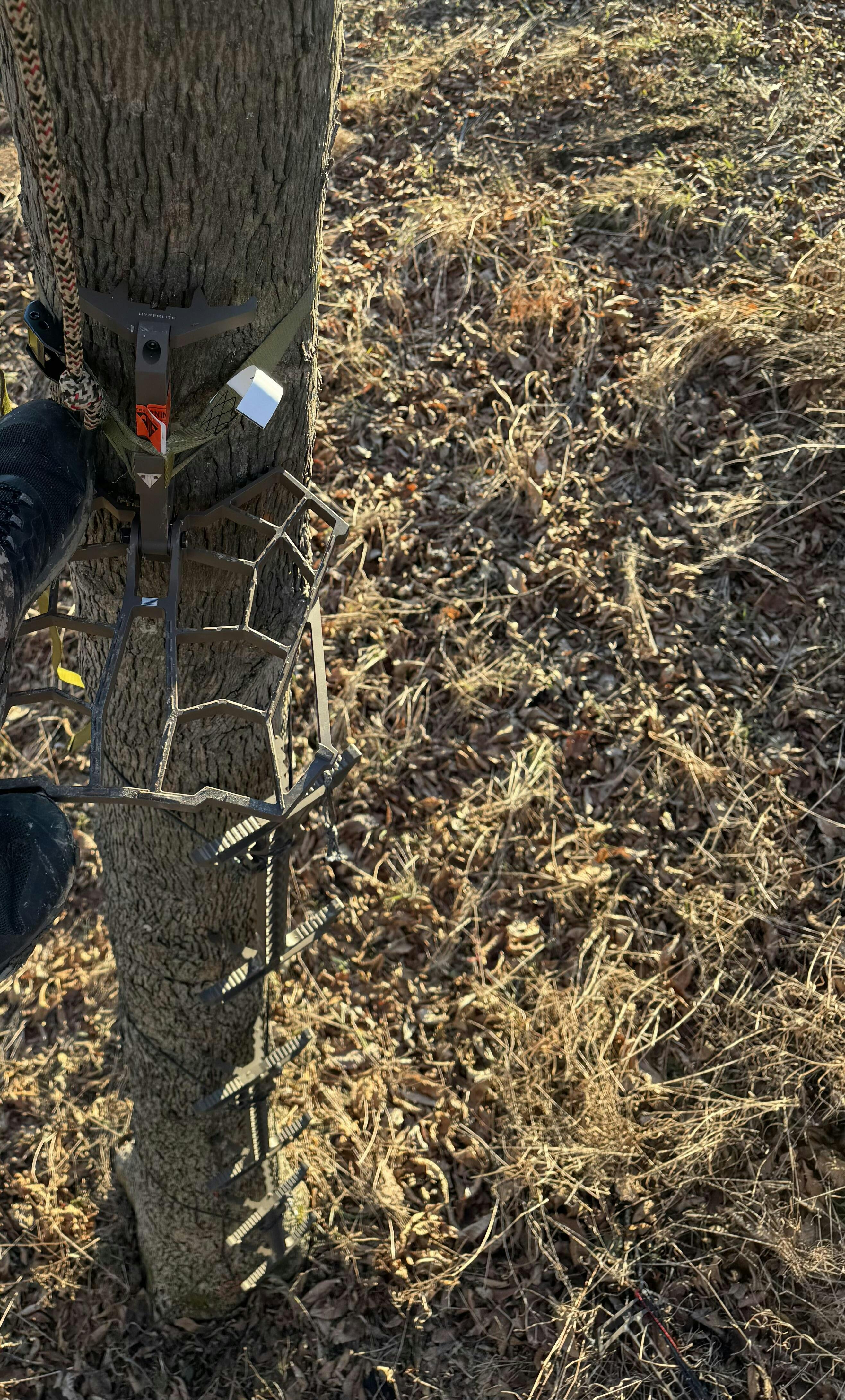 HyperLite™ Platform - Trophyline