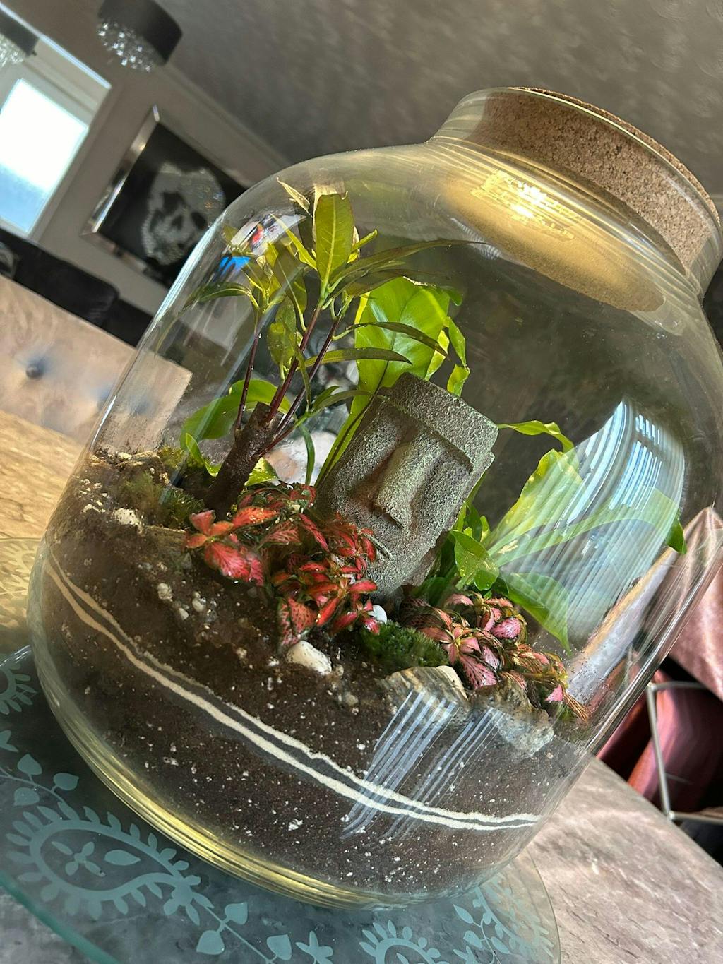 Extra Large Plant Terrarium DIY Kit - Tropical Glass