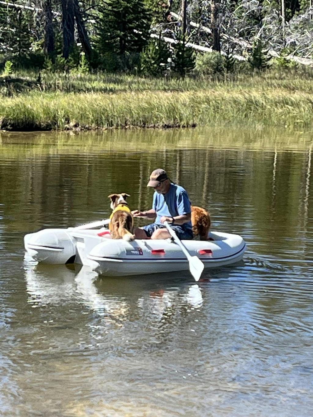 The Navigator: Inflatable Catamaran Yacht Tender Boat | True Kit – True ...