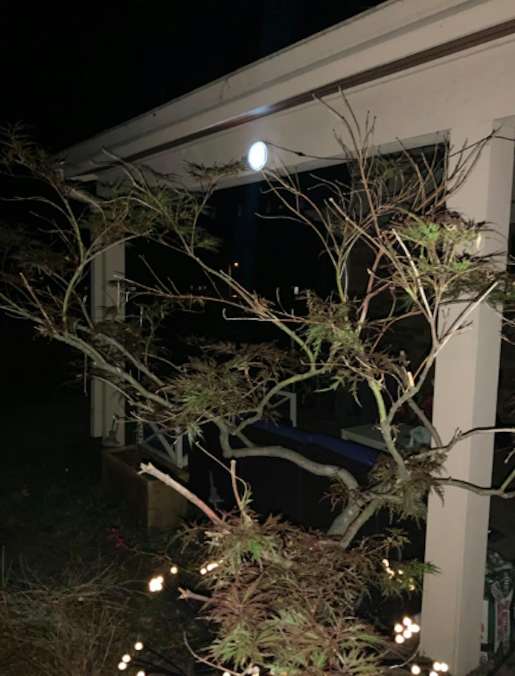 SunRay Multi-Color Indoor Solar Light - 3 Lighting Colors, Dimmable ...