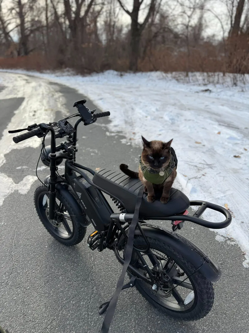 TST® R002 20'' 1500W Full Suspension Moped-style Electric Bike