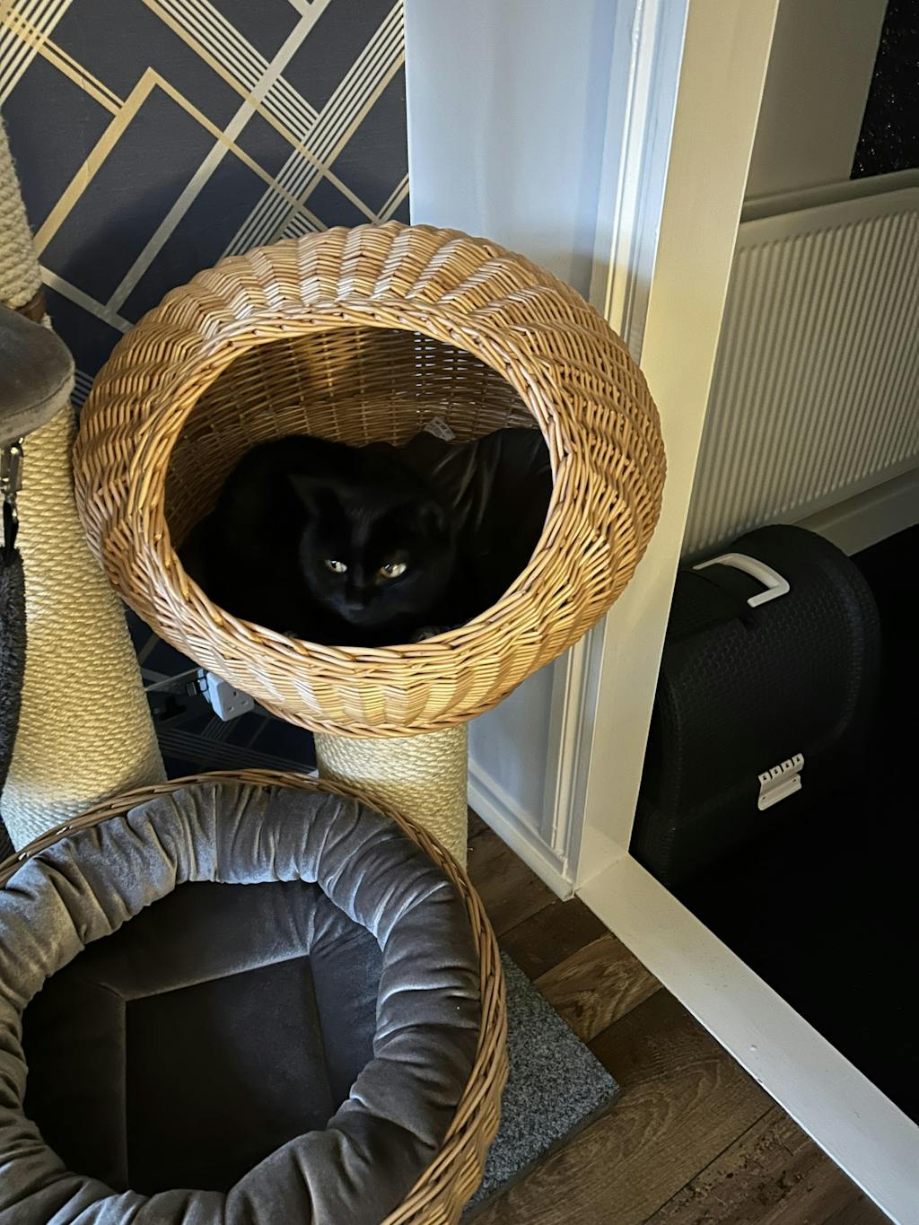 Cat Cave Basket | Cat hideaway bed – TT Luxury Cat Towers