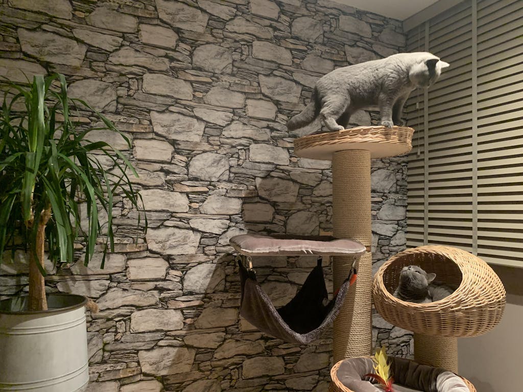 Penthouse Towers | Large luxury cat tower – TT Luxury Cat Towers