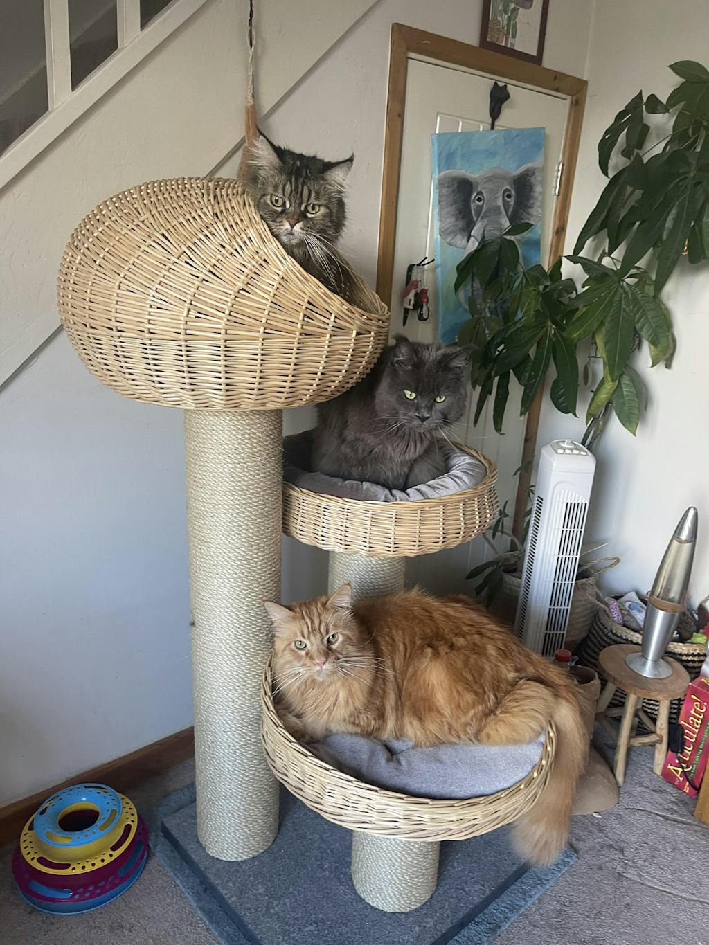 Triple Cat Scratching Tower | Luxury Cat Tower – TT Luxury Cat Towers