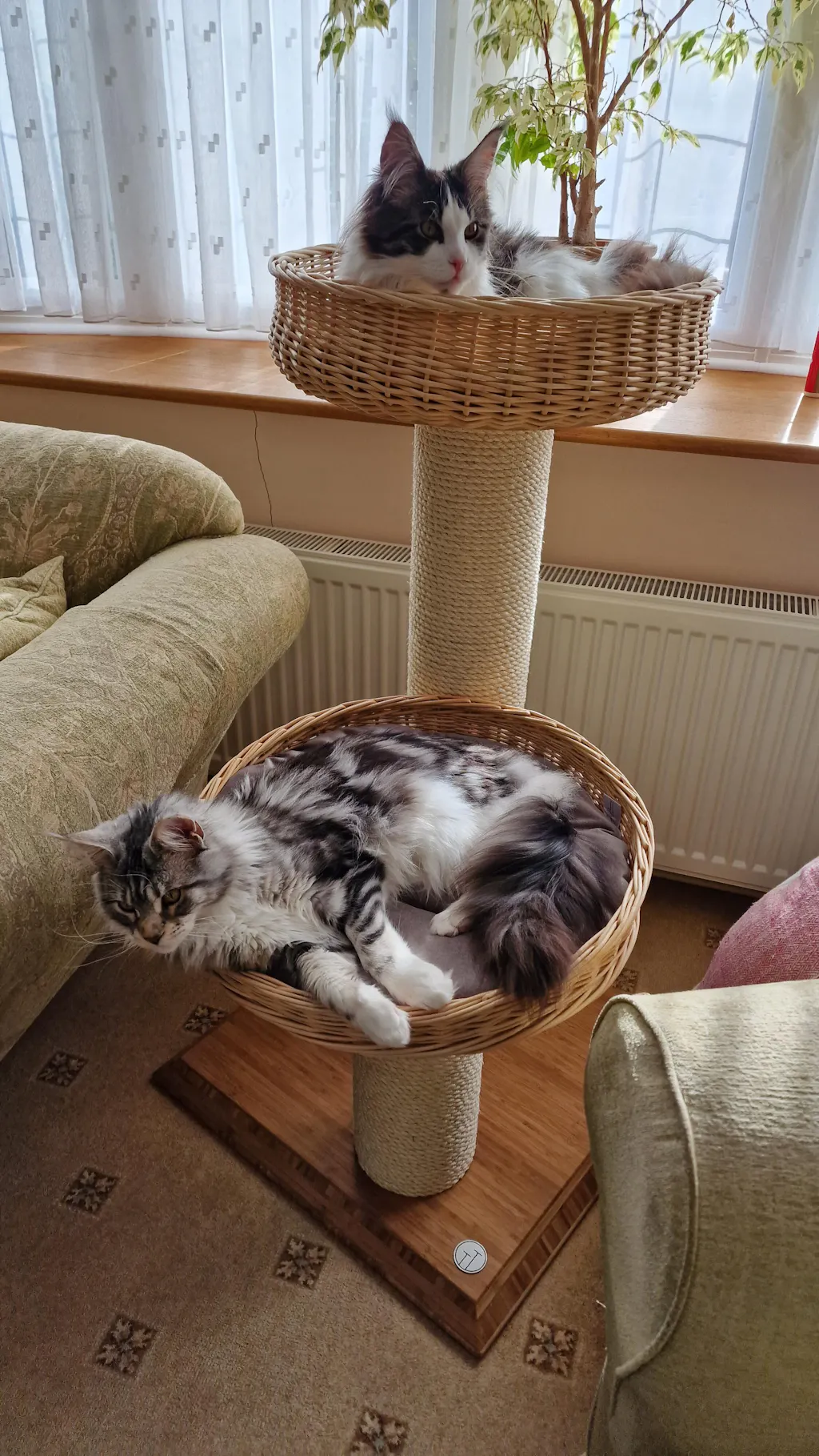 Luxury Cat Scratching Towers - Cat Trees – TT Luxury Cat Towers