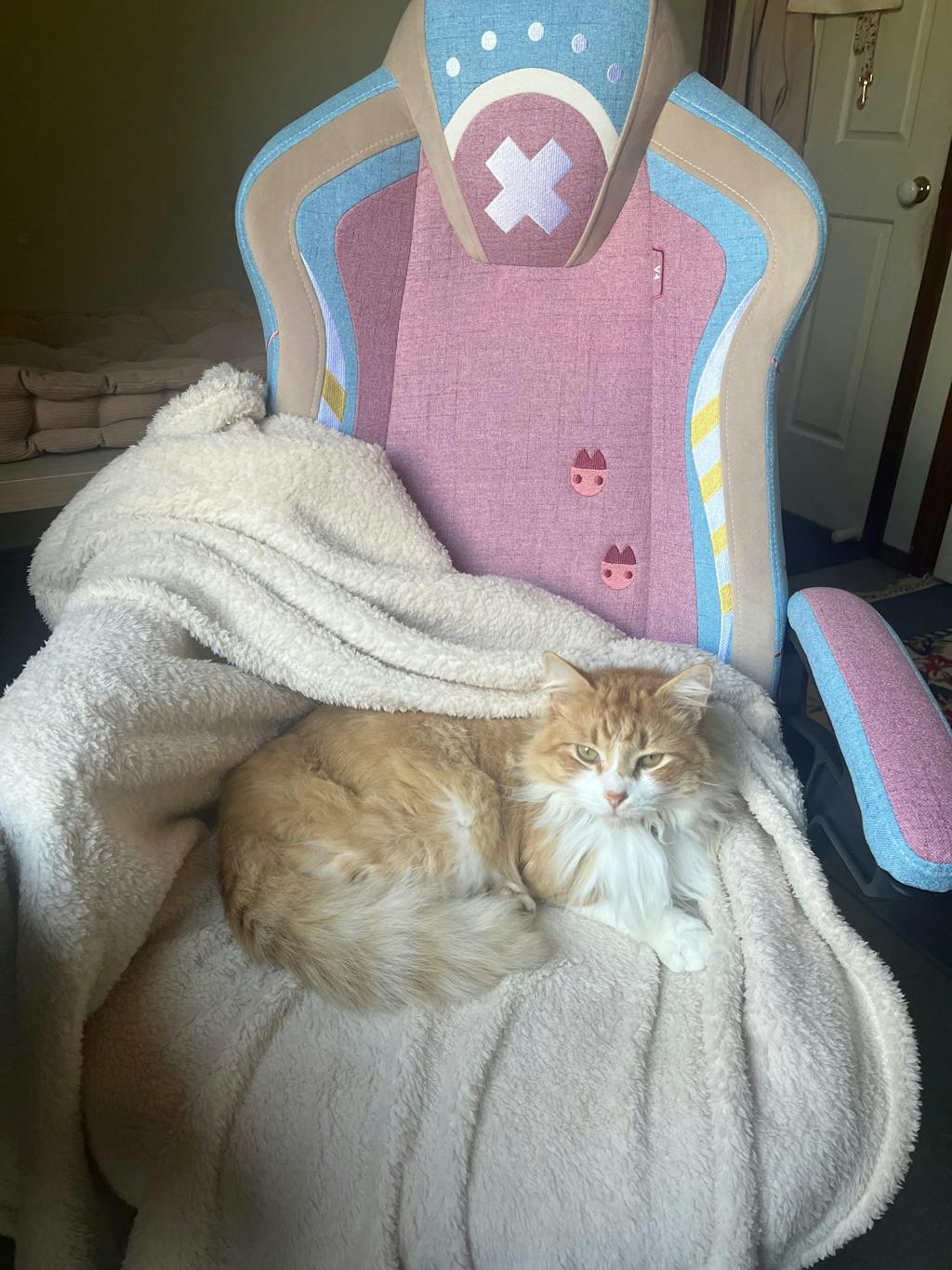 TTRacing DUO V4 Air Threads Fabric Gaming Chair - Chopper Edition ...