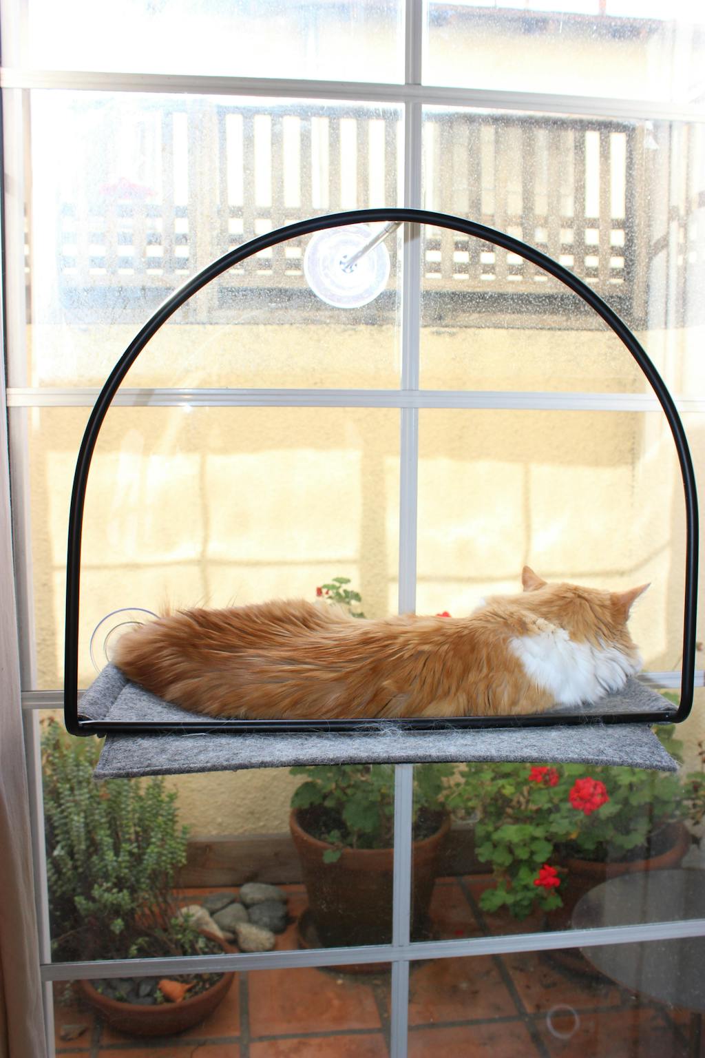 Cloud Nine Window Hammock – tuft + paw