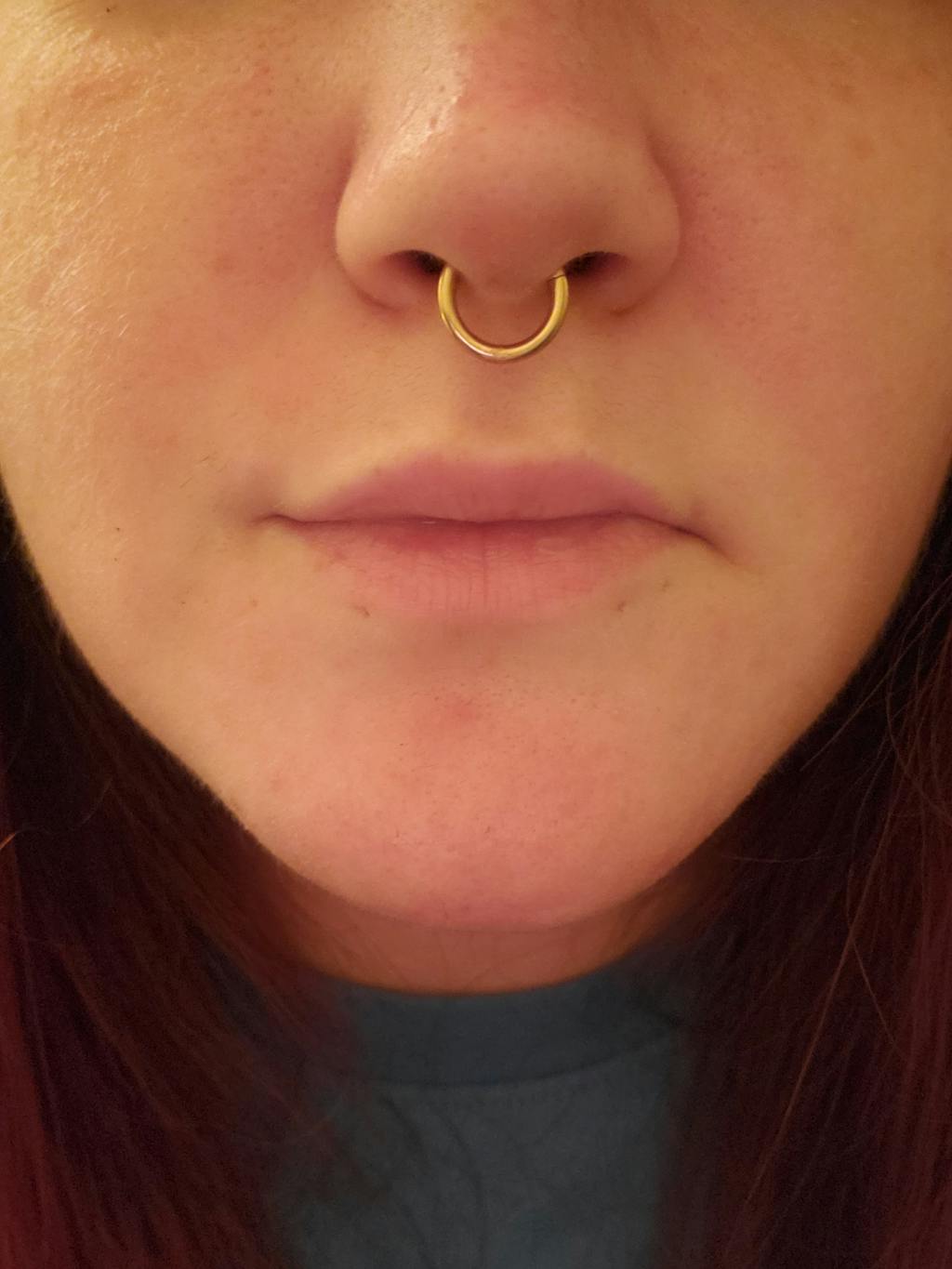 18g Rose Gold Hinged Segment Ring | Tulsa Body Jewelry