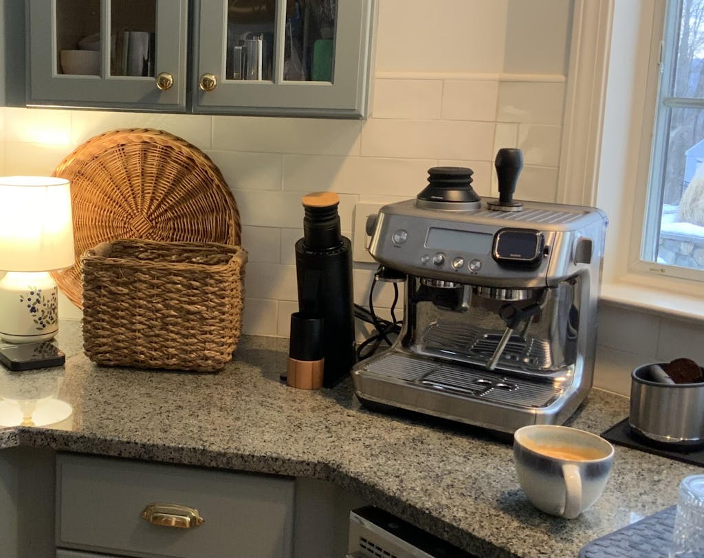 Turin DF64V Gen 2 Grinder with Ion Generator - Variable Speed Single D ...