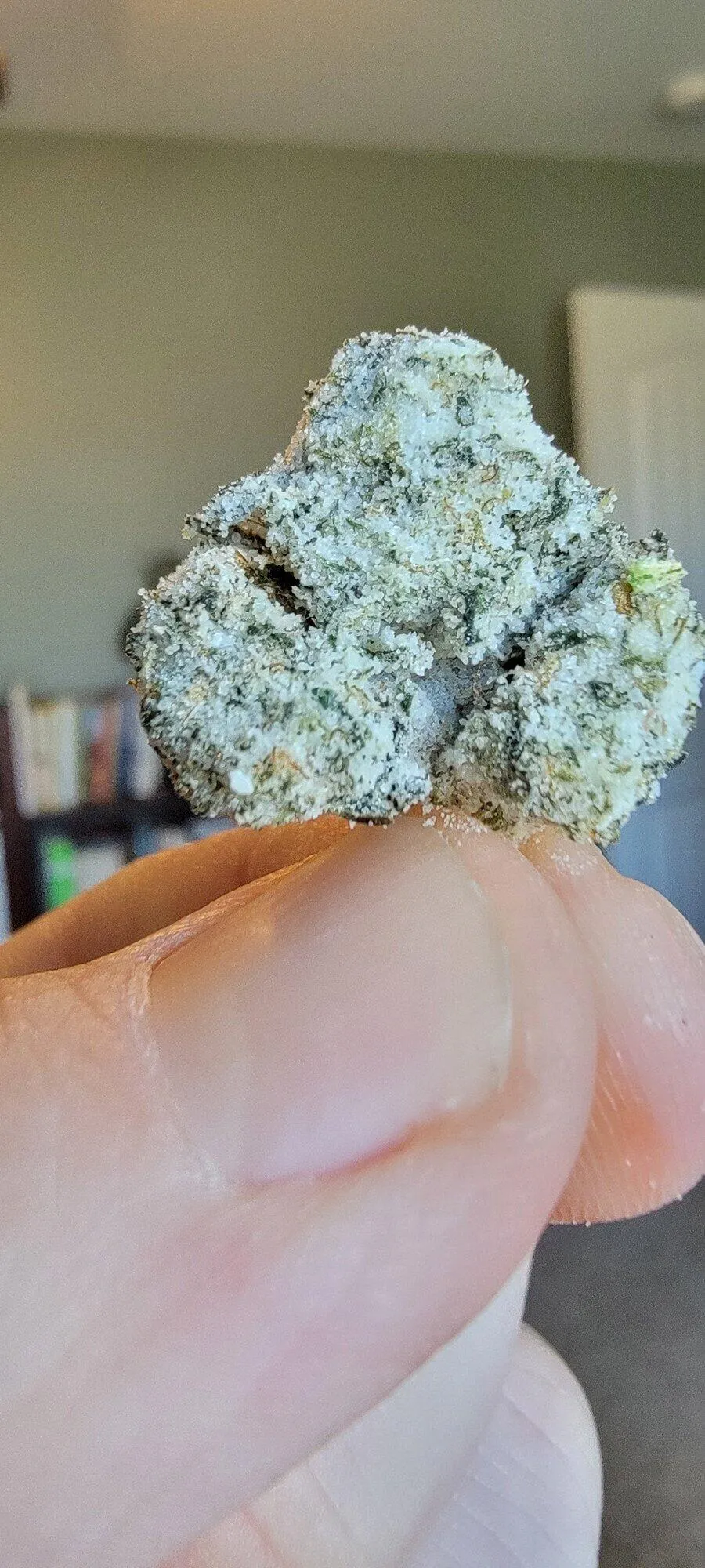 Gelato Snowcaps THCa Flower – TWB