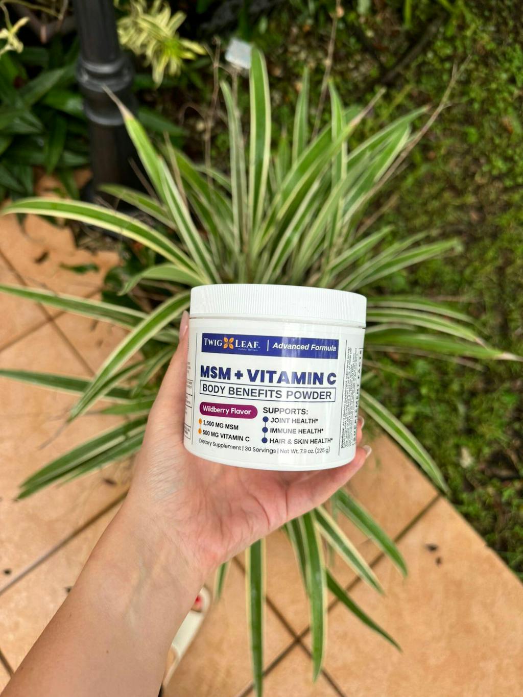 MSM + VITAMIN C | Body Benefits Powder | Twig & Leaf Wellness