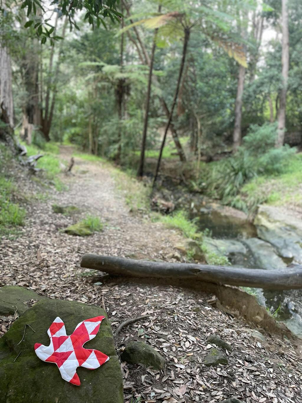 Australian Leaf Sewing Patterns BUNDLE ~ 5 leaf shapes in ALL sizes ...