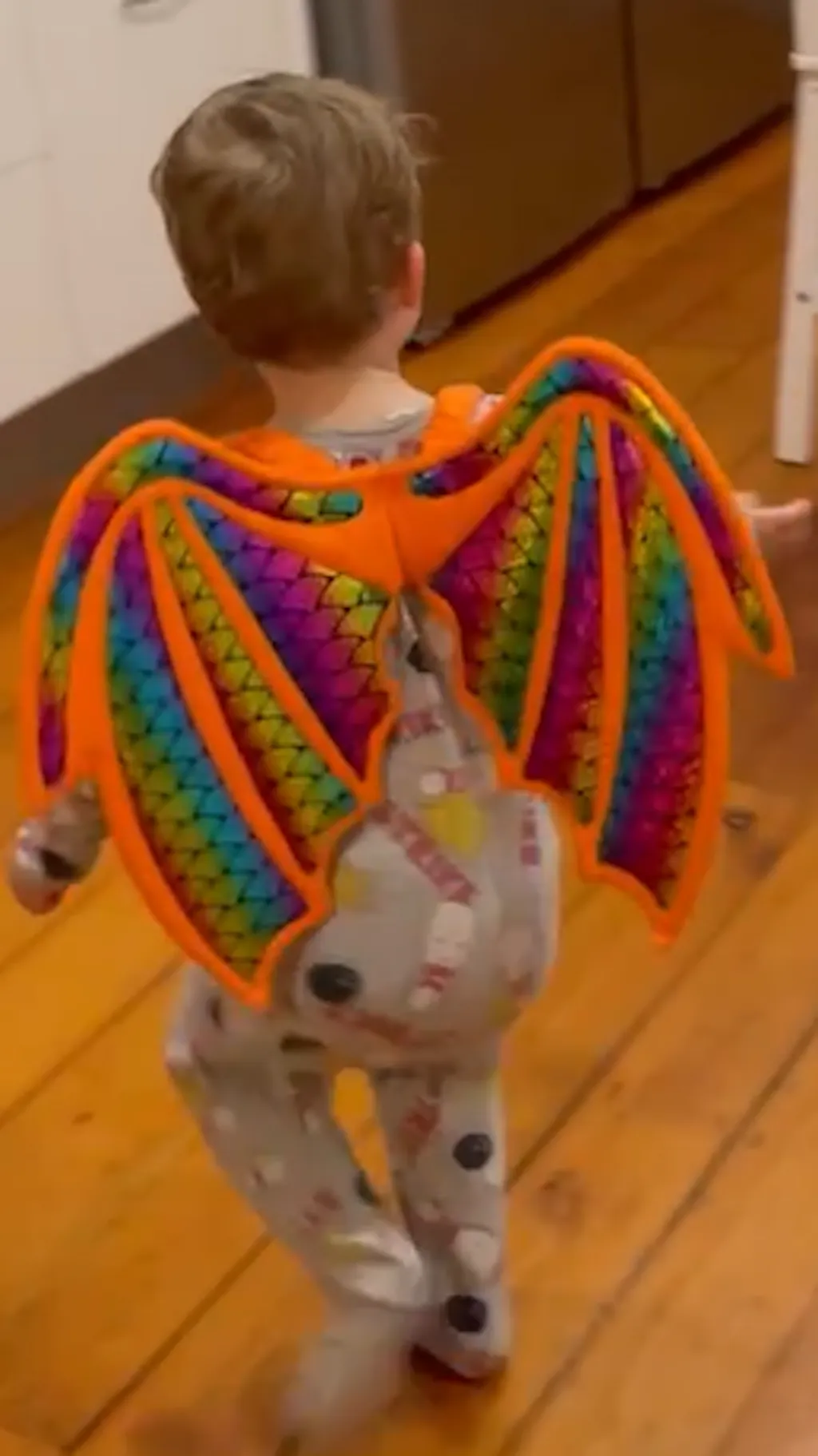 Dragon Wings ~ Digital Pattern + Video Class – Twig + Tale