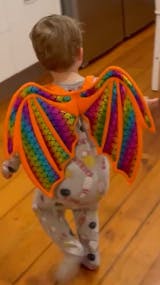 Woodland Sprite Wings ~ Digital Pattern + Video Class – Twig + Tale