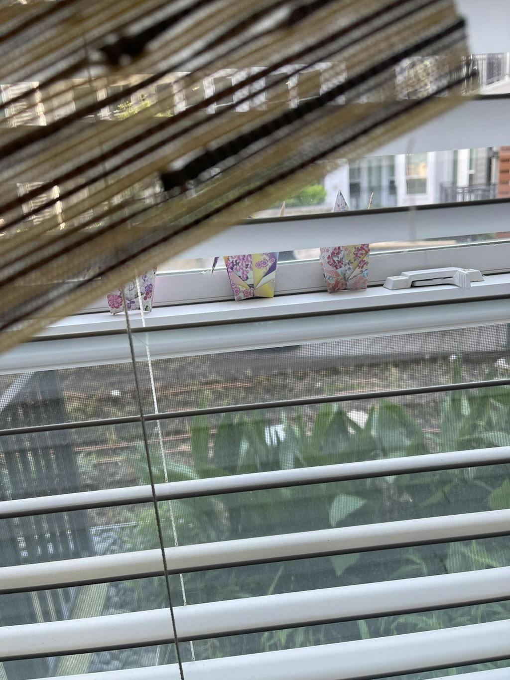 Lay Natural Woven Shade Samples Kit 10 Colors