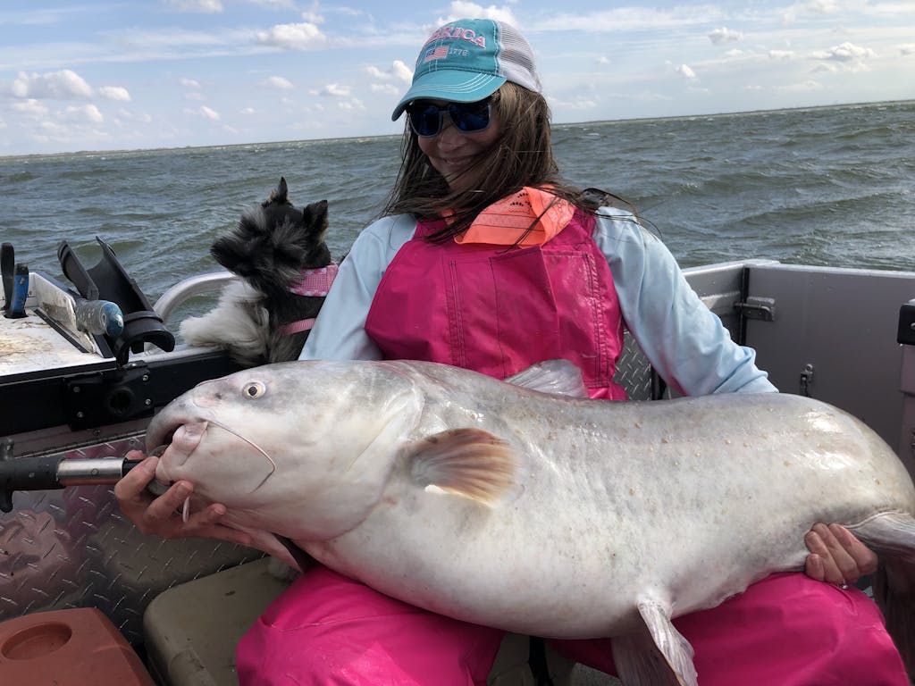 Bibbed Overalls - Waterproof - High Visibility – Udder Tech, Inc.