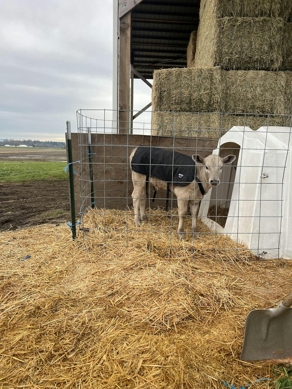 Udder Tech Bibbed Overalls - Waterproof – Udder Tech, Inc.