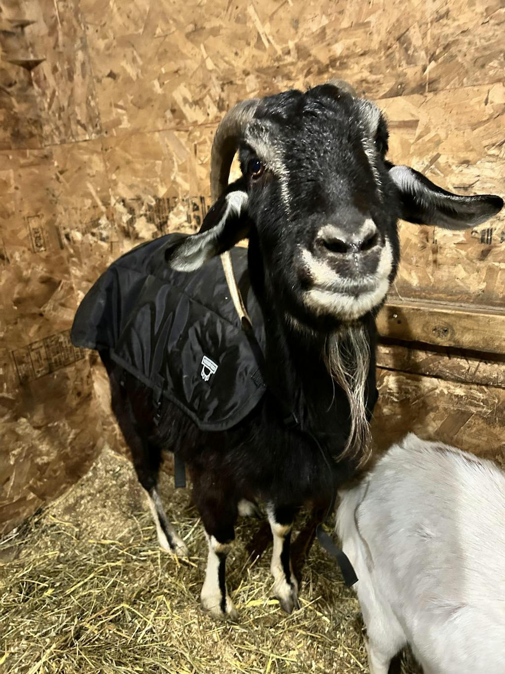 Products – Udder Tech, Inc.