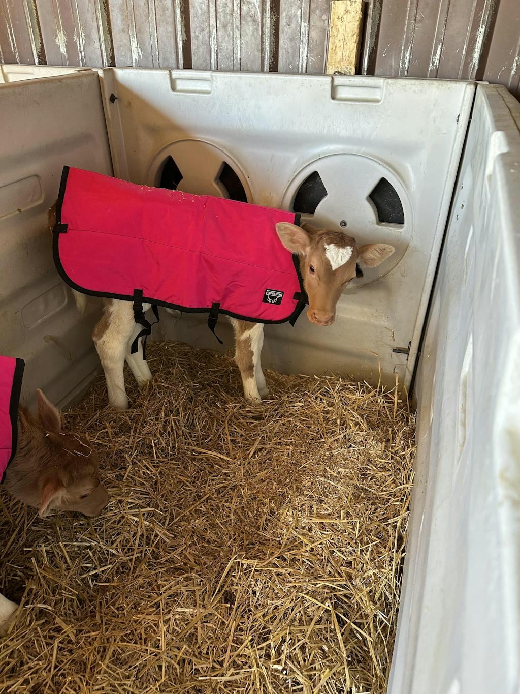 Products – Udder Tech, Inc.