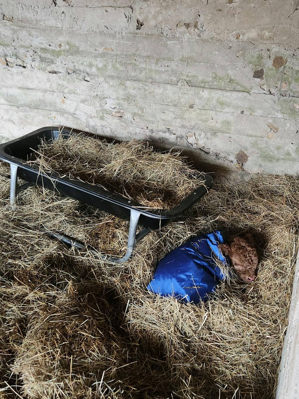 Udder Tech Bibbed Overalls - Waterproof – Udder Tech, Inc.