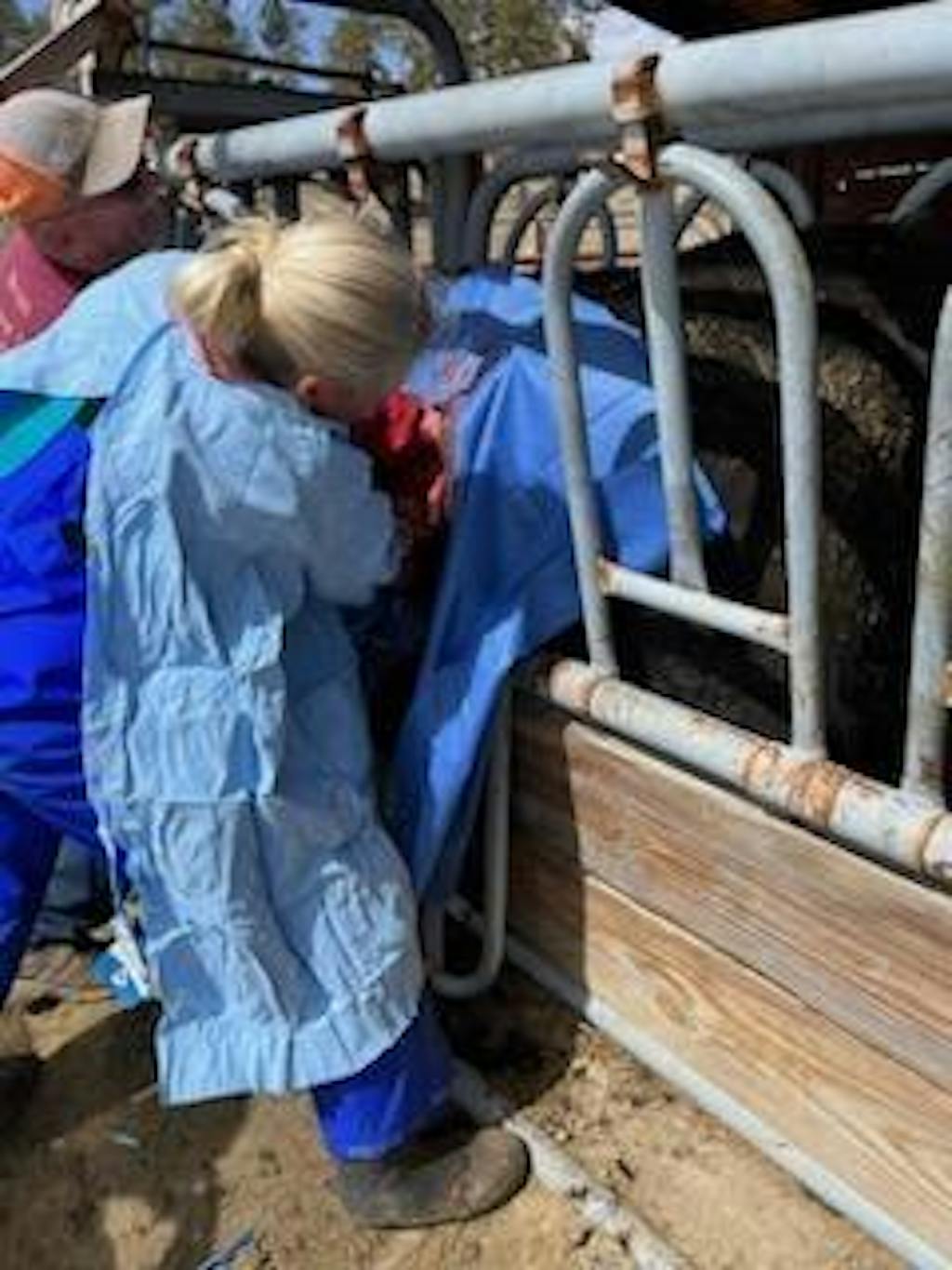 Udder Tech Bibbed Overalls - Waterproof – Udder Tech, Inc.