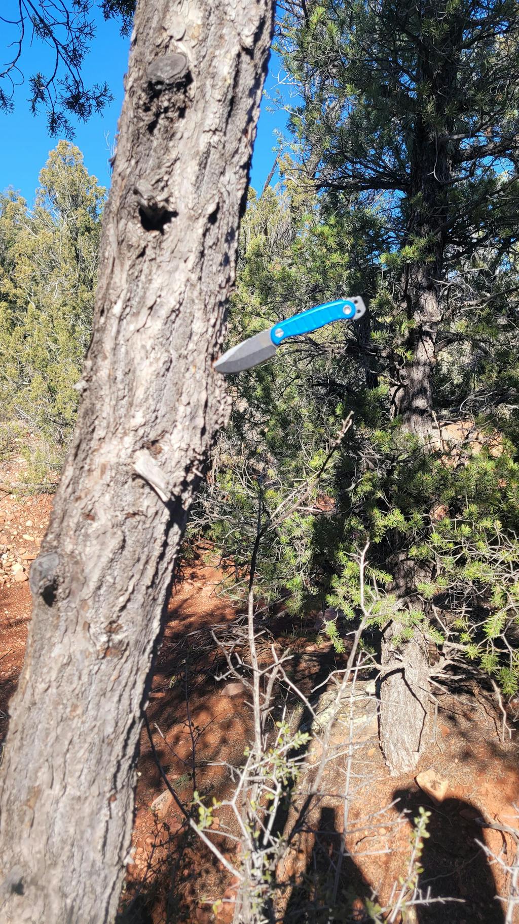 MSK-1 Mini EDGE – Ultimate Survival Tips