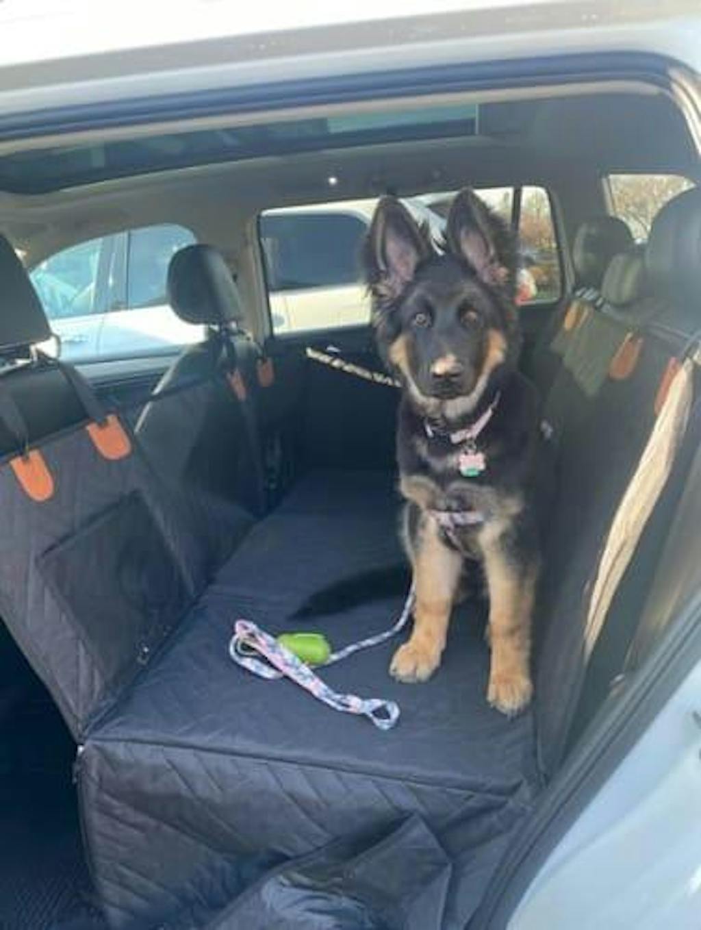 Hard Bottom - Back Seat Extender for Dogs | Travel Safely - Under Paws
