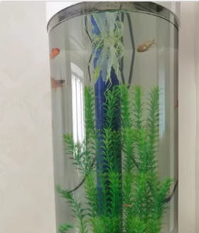 150L Cylinder Acrylic Aquarium Tower - Unique Fishtanks Australia