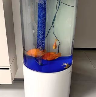 150L Cylinder Acrylic Aquarium Tower - Unique Fishtanks Australia