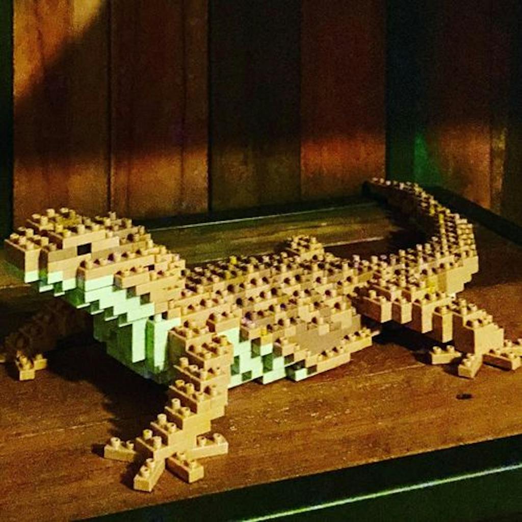 Bearded Dragon Toy Building Blocks l Different Than LEGOs