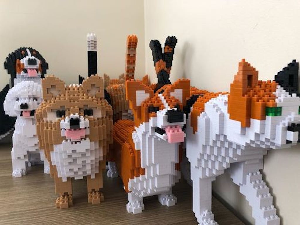 Calico Cat - Pet Building Kit - Build 'Em Pets