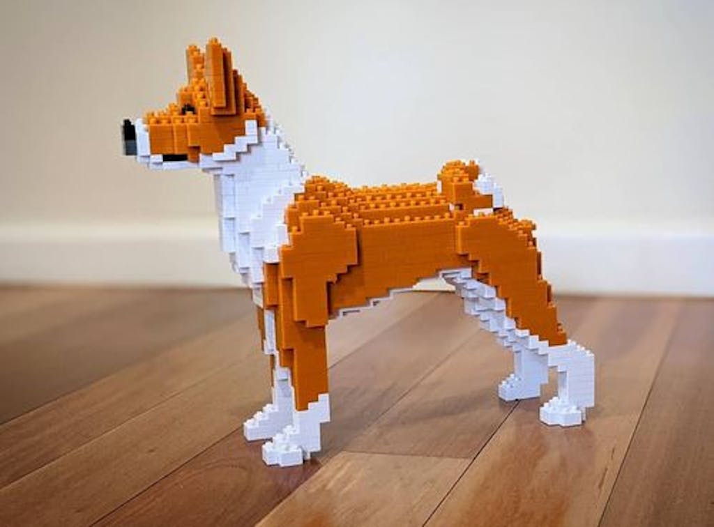 Basenji Toy Building Blocks l Different Than LEGOs